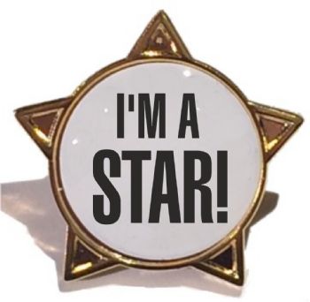 The Badge Company - School Star Badges